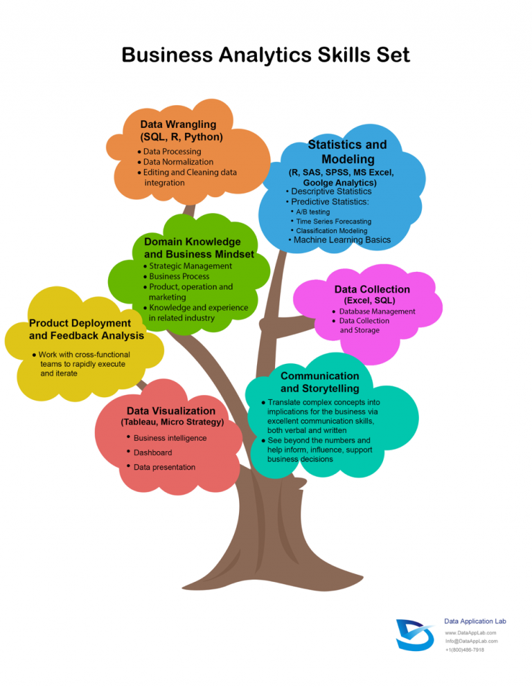 BA skill chart - Data Application Lab
