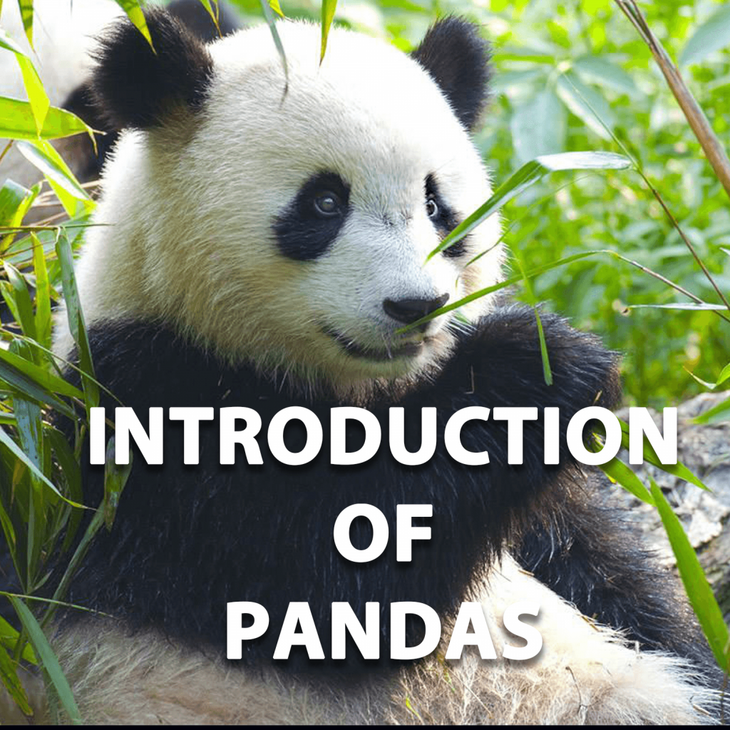 Live Webinar: Learn Introduction of Pandas for Data Science, So Easy! - Data Application Lab