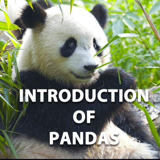 Live Webinar: Learn Introduction of Pandas for Data Science, So Easy ...