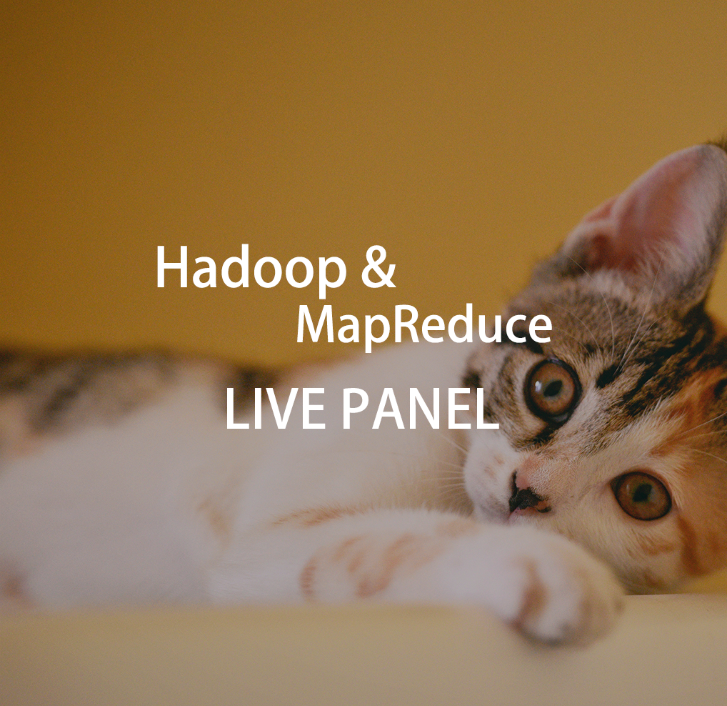 Live Webinar Knowledge About Hadoop And Mapreduce Data Application Lab