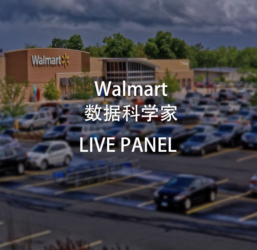 What is Walmart Data Scientists Interview? - Data Application Lab