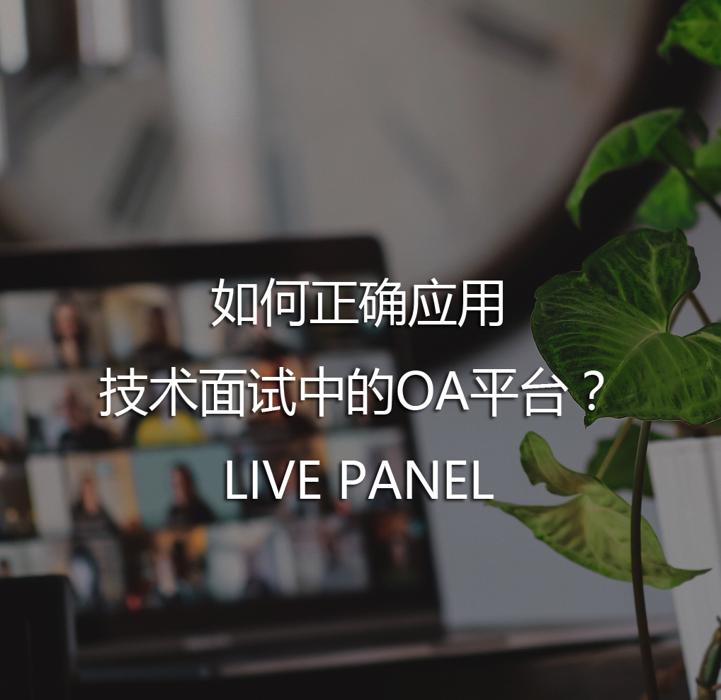 AI Pin: How to Use OA platform in Technical Interview? - Data ...