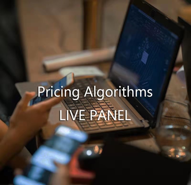 Pricing Algorithms - Data Application Lab