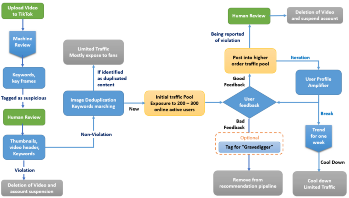 大数据告诉你Tiktok为何让人如此上头？ - Data Application Lab