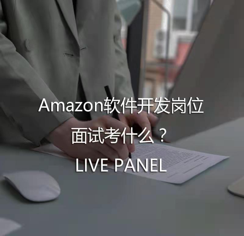 AI Pin: Amazon Software Development Job Interview - Data Application Lab