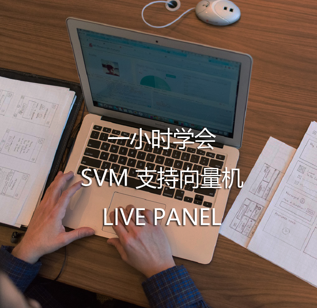 Learn SVM in One Hour - Data Application Lab